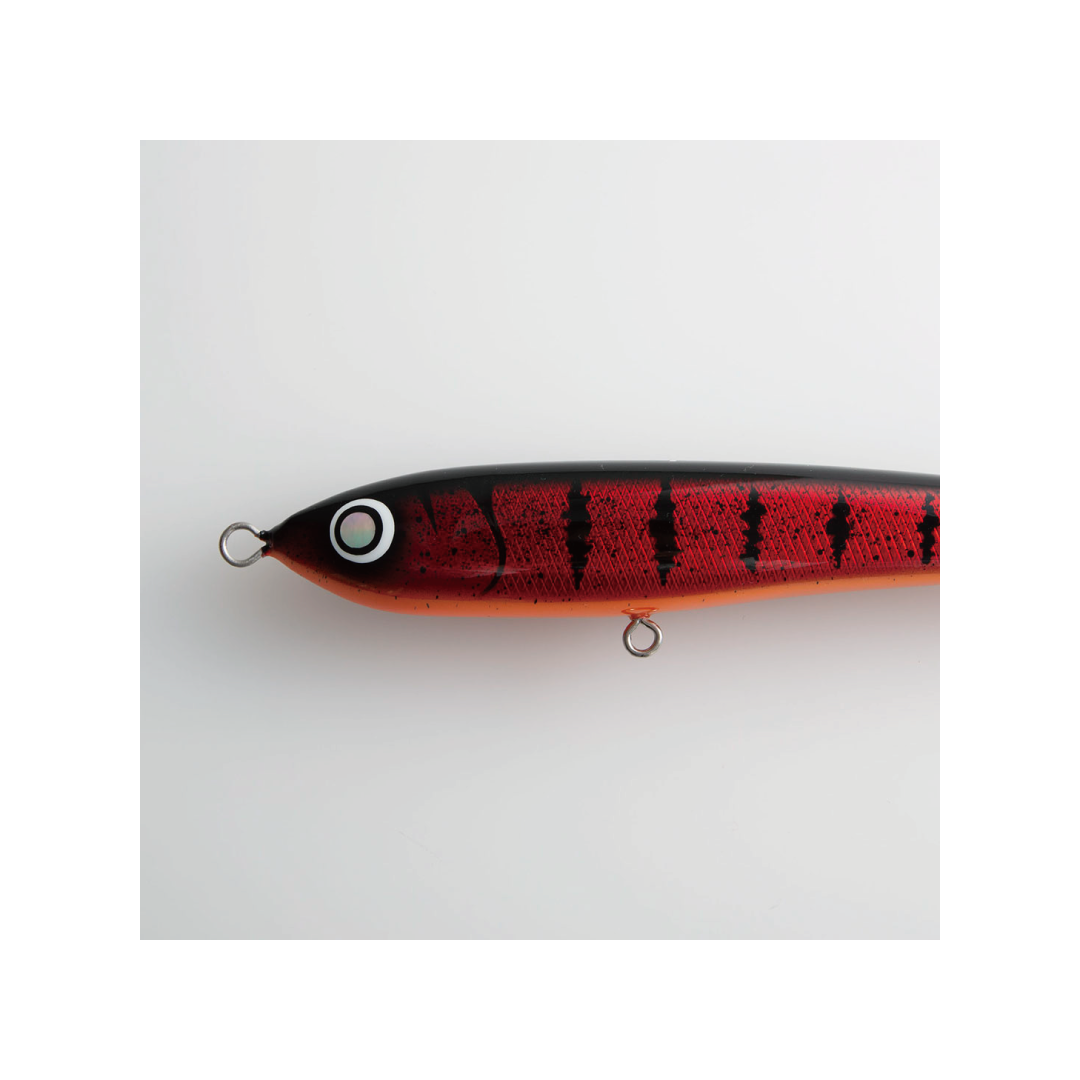 SEPTEMBER SESSIONS | FISHING / SURFING / LIFESTYLE | OnlineStore